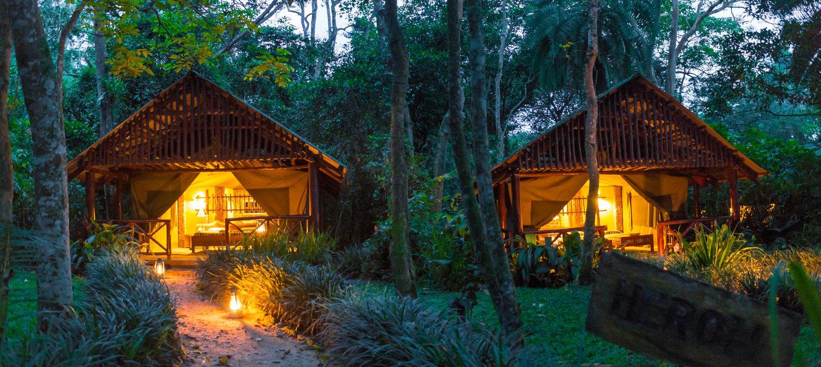 Kibale Forest National Park | Chimp Trekking Guide